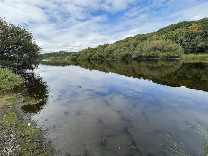 Exceptional 3 Bed Country Cottage. - Portaferry