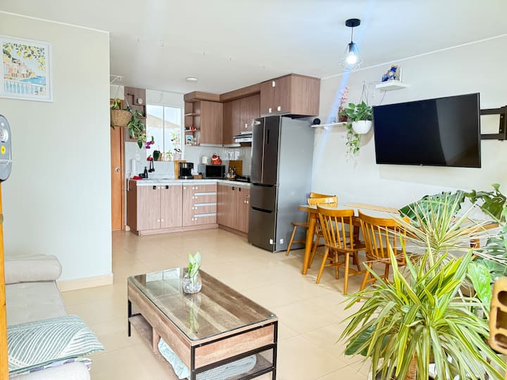 Ethan’s House-ecology - Ica