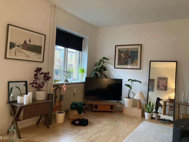 Hyggelig & Rolig Lejlighed Centralt I Aarhus N - Aarhus