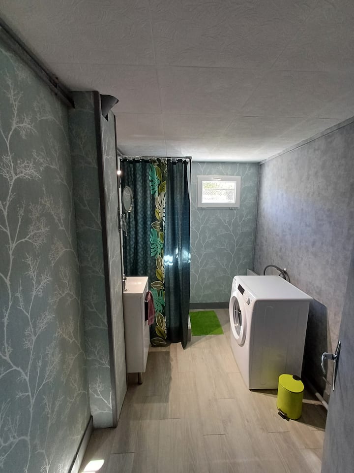 Chambre Avec Douche Et Wc Privée à Luynes - Fondettes
