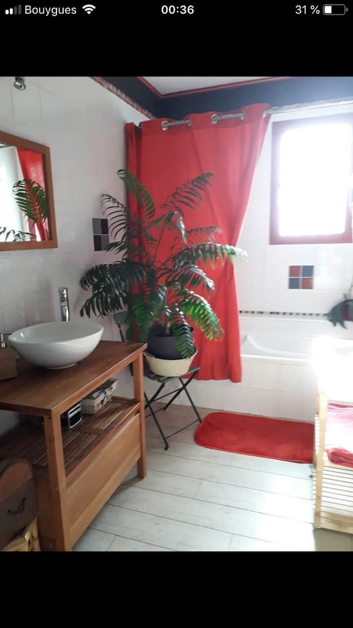 Chambre à Louer - Lamotte-Beuvron