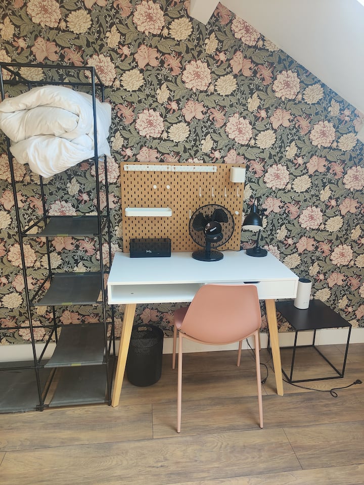 Serenity Apartment In Rotterdam - Rotterdam