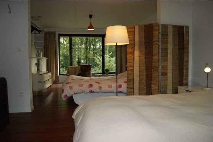 Kamer In Het Bos - Deinze