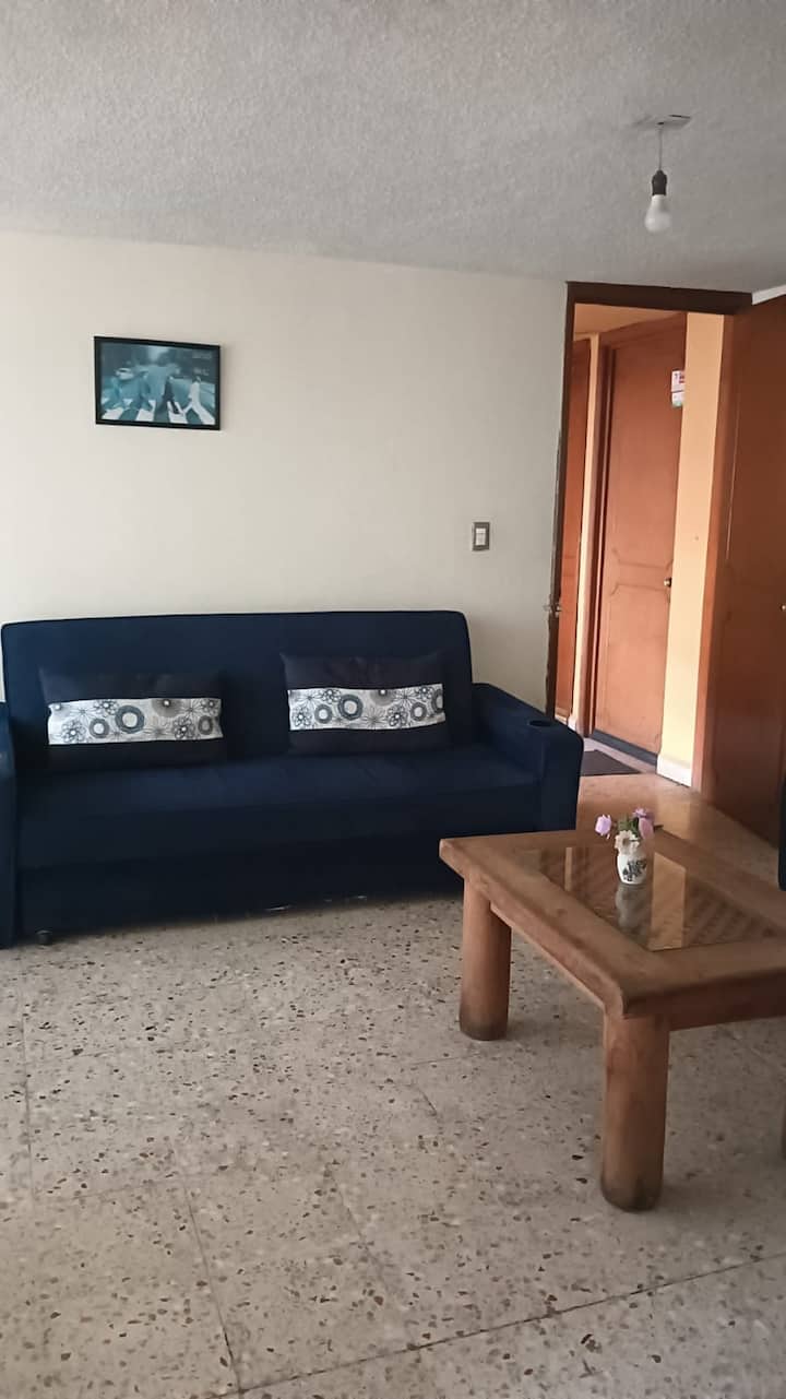 Gran Ubicación En Paseo Colón - Toluca