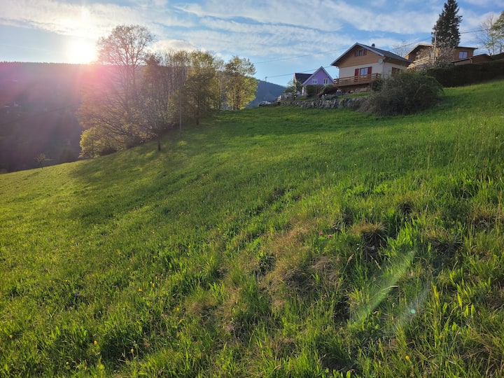 Chalet De Montagne Le Beau Site - Munster
