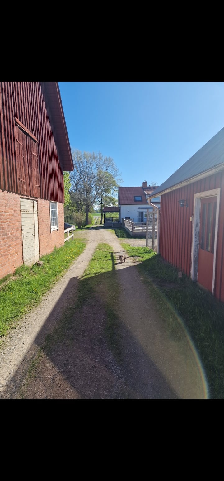 Torpalyckans Bed&box - Skara