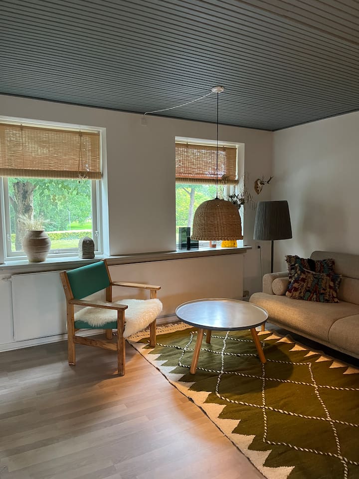 Charming Old Townhouse In City Center & Munke Mose - Odense