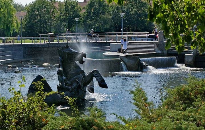 Charming Townhouse In City Center - Free Parking - Odense