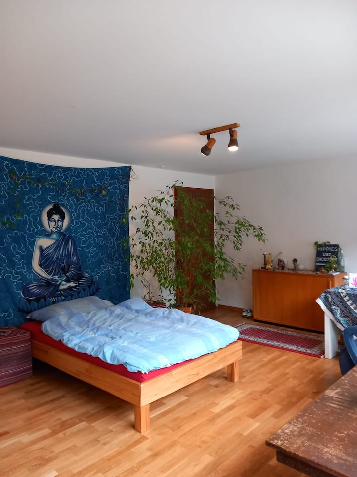 Studiowohnung Im Herzen Von Bern - Bern