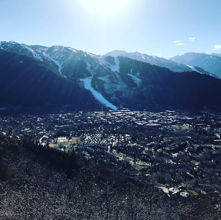 Heart Of Aspen. Original Curve. - Aspen