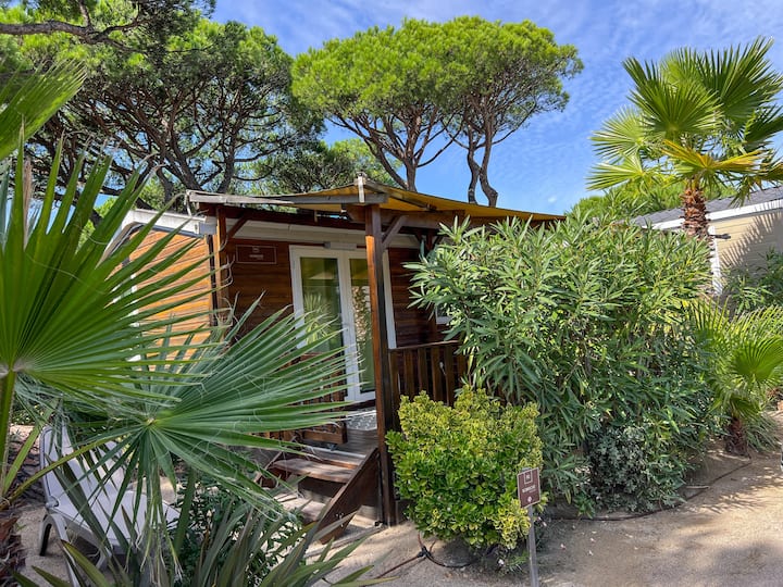 Kon Tiki - Pampelonne - Super Venus - Pampelonne