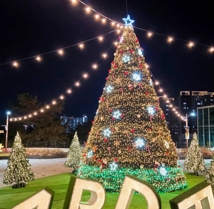 [해오름] #앞산전망대#안지랑곱창#이월드#서문시장#가톨릭병원#대구숙소#동성로#주차#겨울정원 - Daegu