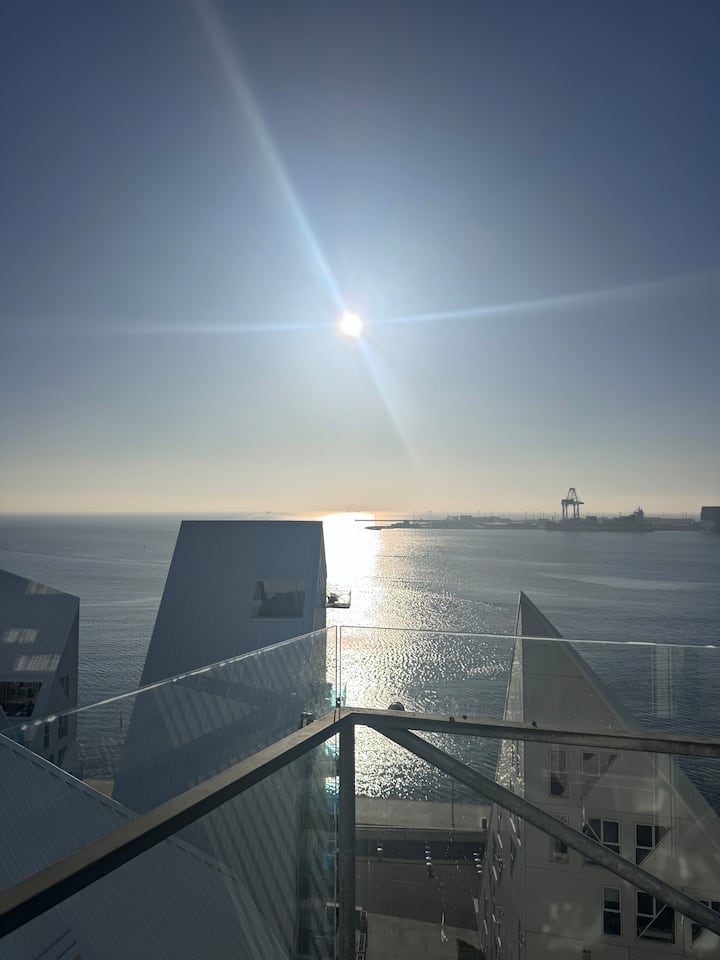 Stor Lejlighed Med Udsigt! - Aarhus