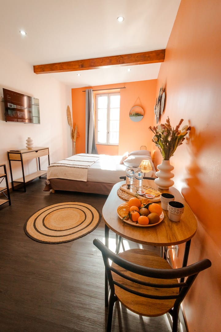 Rooftop N°38 - Vue Cité Médiévale Et Clim - Appt 2 - Carcassonne