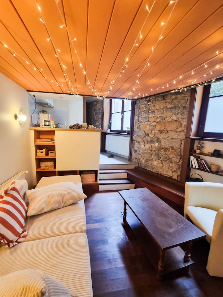 Joli Appartement Vieux Lyon - Lyon