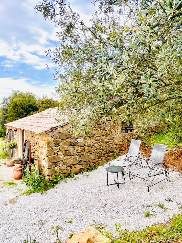 Authentique Bergerie Spa, Piscine Et Massages - Le Beausset