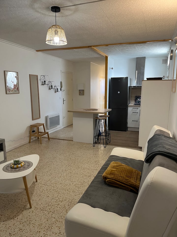 Appartement 50m2 / Parking / Tram Les Arceaux - Montpellier