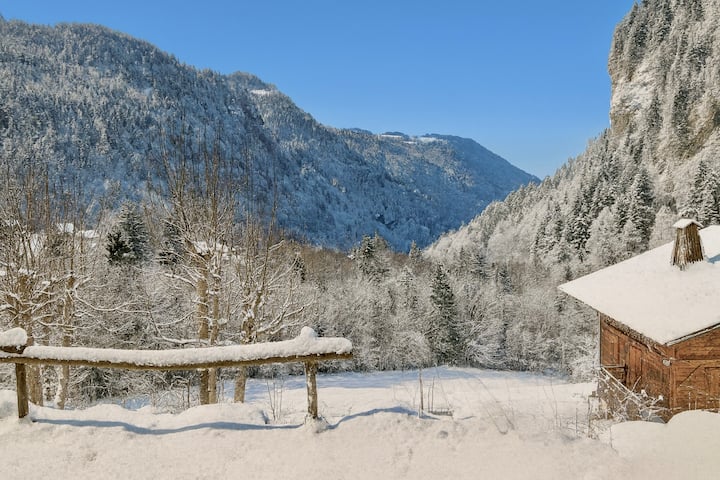 Appartement Avec Jardin - Flumet