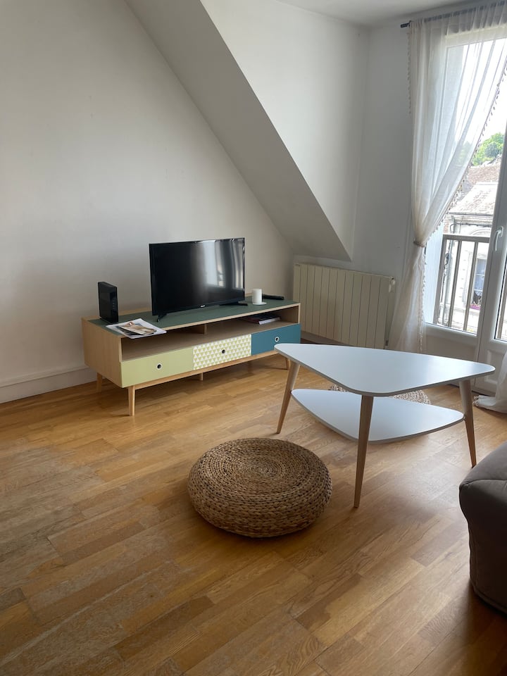 Cocon Urbain, Emplacement Idéal Cœur De Ville - Amboise