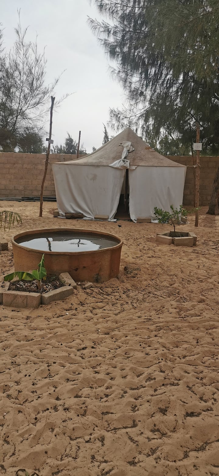 Les Jardins Fleuris De Lompoul Sur Mer - Senegal