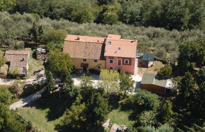 Casa L’uccelliera - Lucques