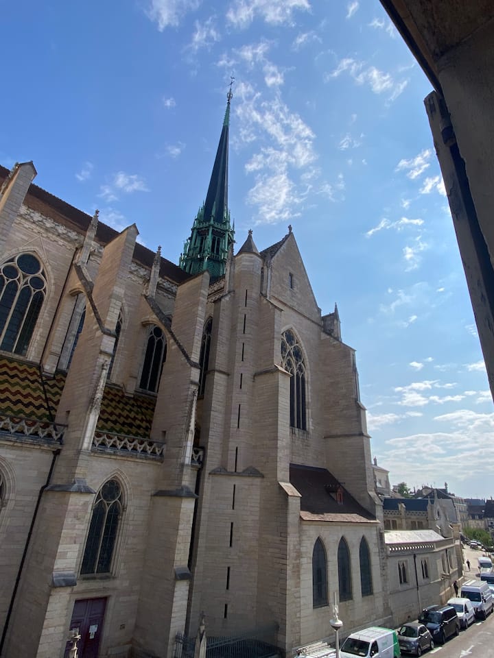 Cocon En Plein Centre De Dijon - Dijon