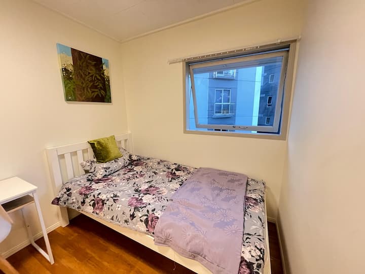 Cozy Private Room In Grafton - Auckland