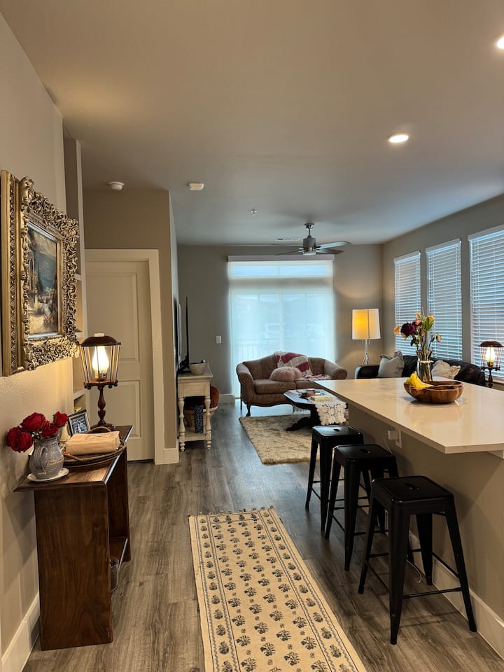Lux Apartment - College Station - Bryan, TX
