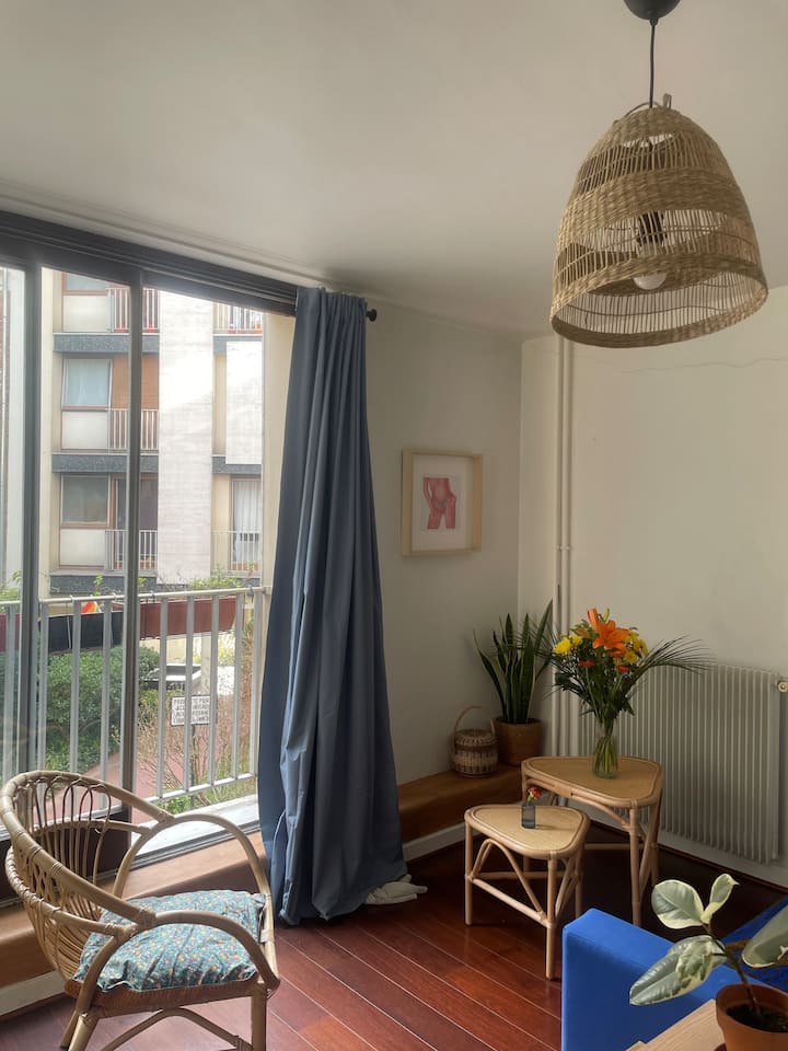 Bel Appartement Lumineux 30 M2 - Gare de Lyon