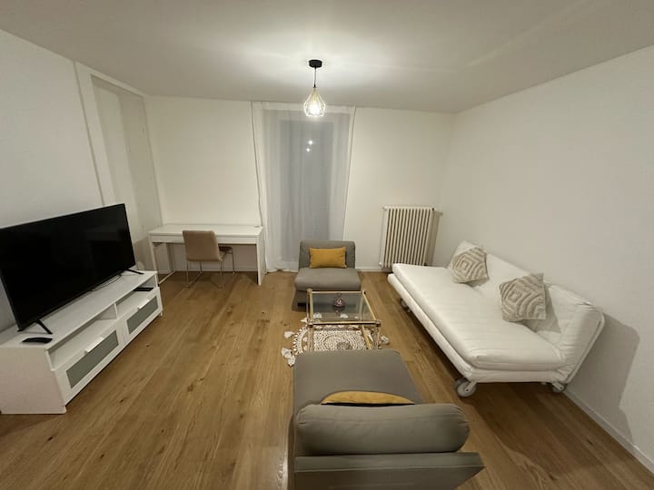 The Family Minimalist Flat - Renens