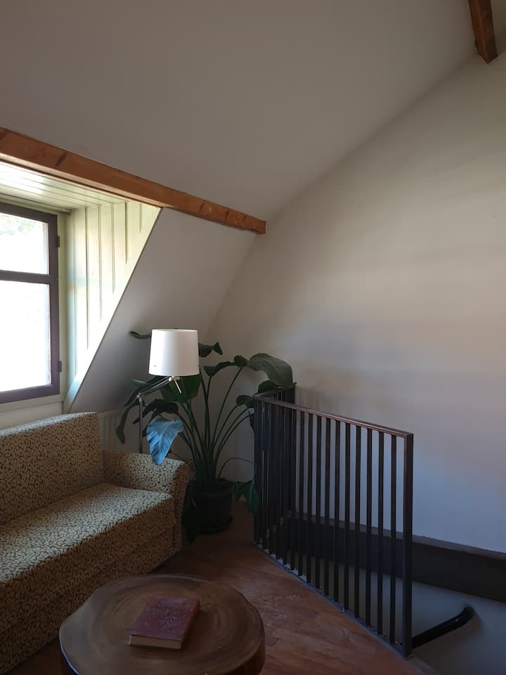 Gnoom Home - Eindhoven