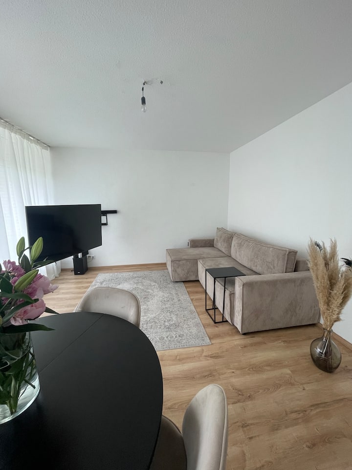 Apartment In Mannheim - Mannheim