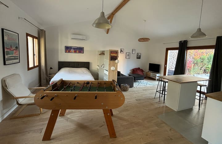 Maison «&nbsp;Loft&nbsp;» Aux Minimes - Toulouse
