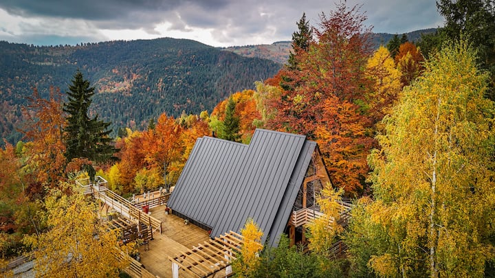 Black Roof - Romania