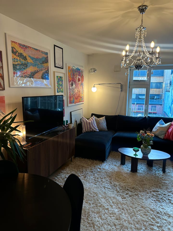Central, Modern 1-bedroom Apartment In Grünerløkka - Oslo