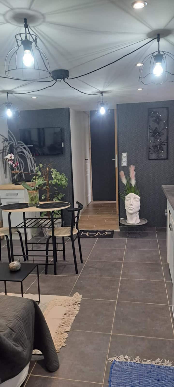 Studio Neuf à Louer - Binic