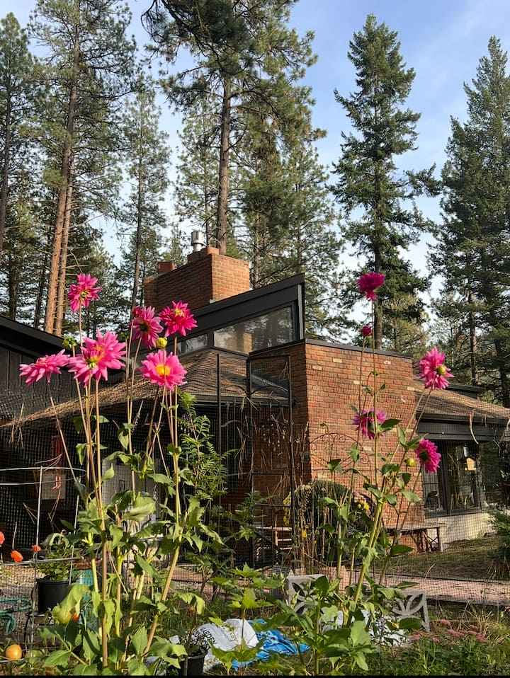 Full Moon View ~ Sleeps 4 - Missoula, MT