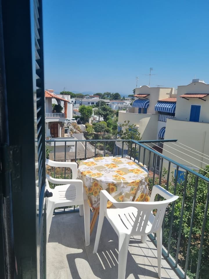 La Signorina 2 Vintage - Isola d'Ischia