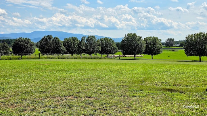 The Mutt & Maverick Hanger - Strasburg, VA