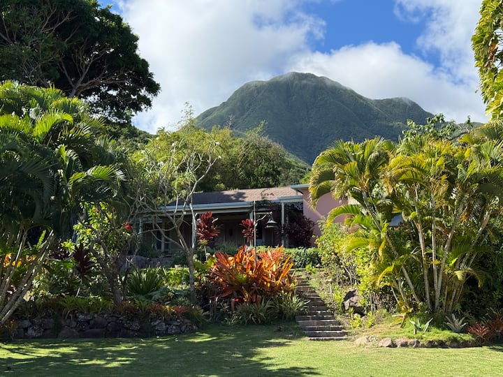 Amaranth, Mountainside Villa In Golden Rock Estate - Saint Kitts and Nevis
