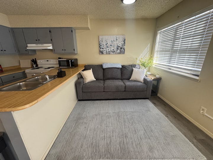 The Apartment - Roswell, NM