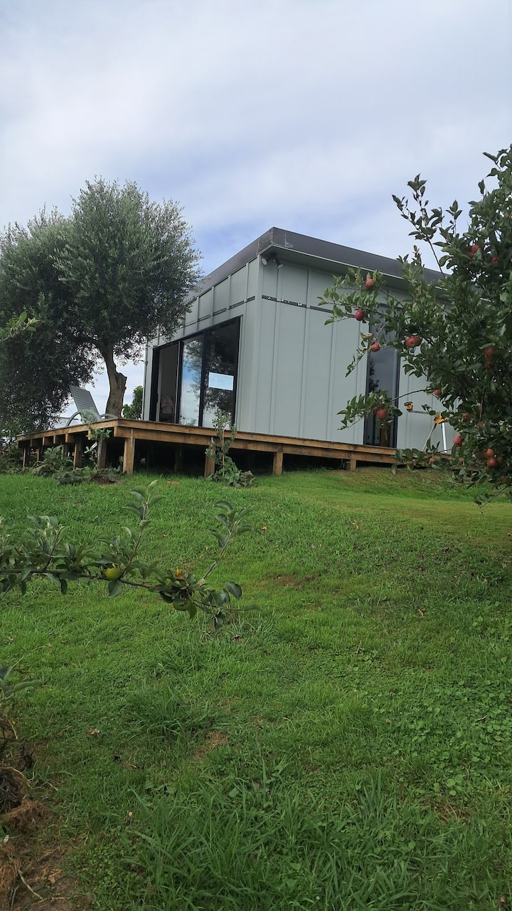Olive Tree Cottage - Papamoa