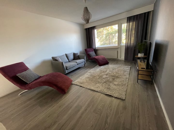 Täydellisesti Kalustettu Kolmio - Hankasalmi