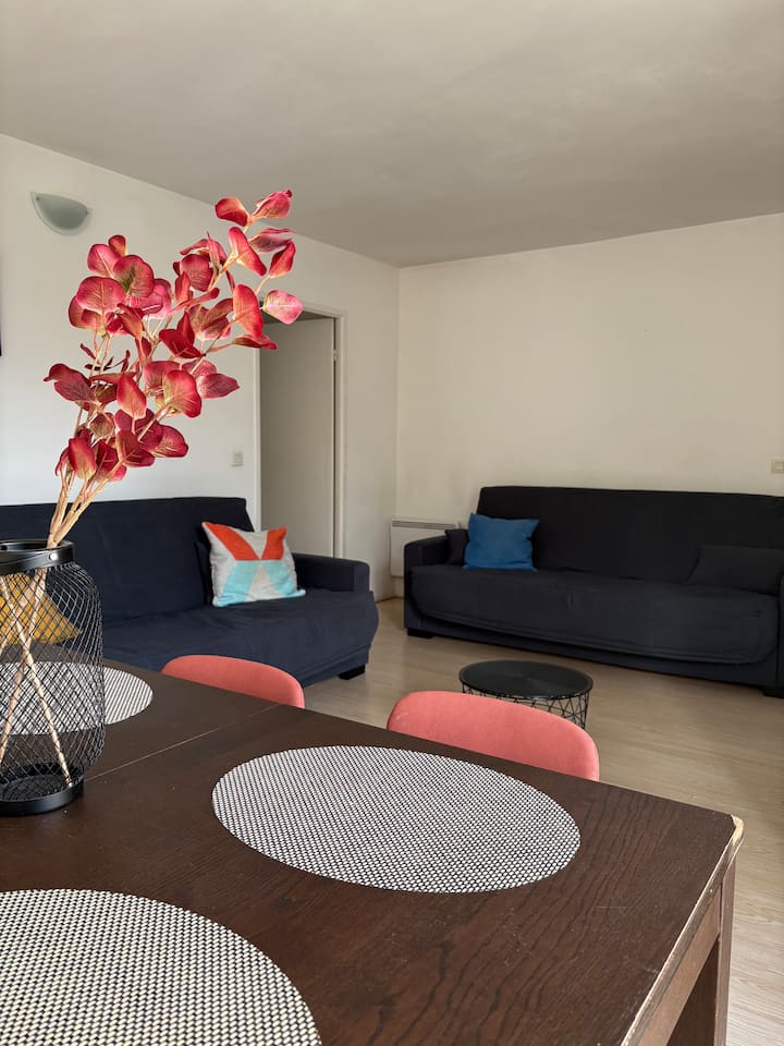Disney Family/friends Apartment/ 1 Minute From Rer - Disneyland Paris