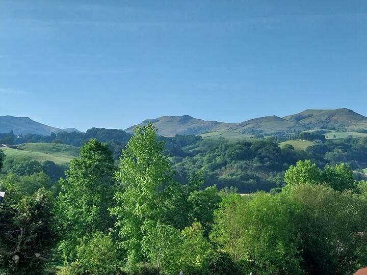T3 Impeccable Vue Montagnes - Bidarray