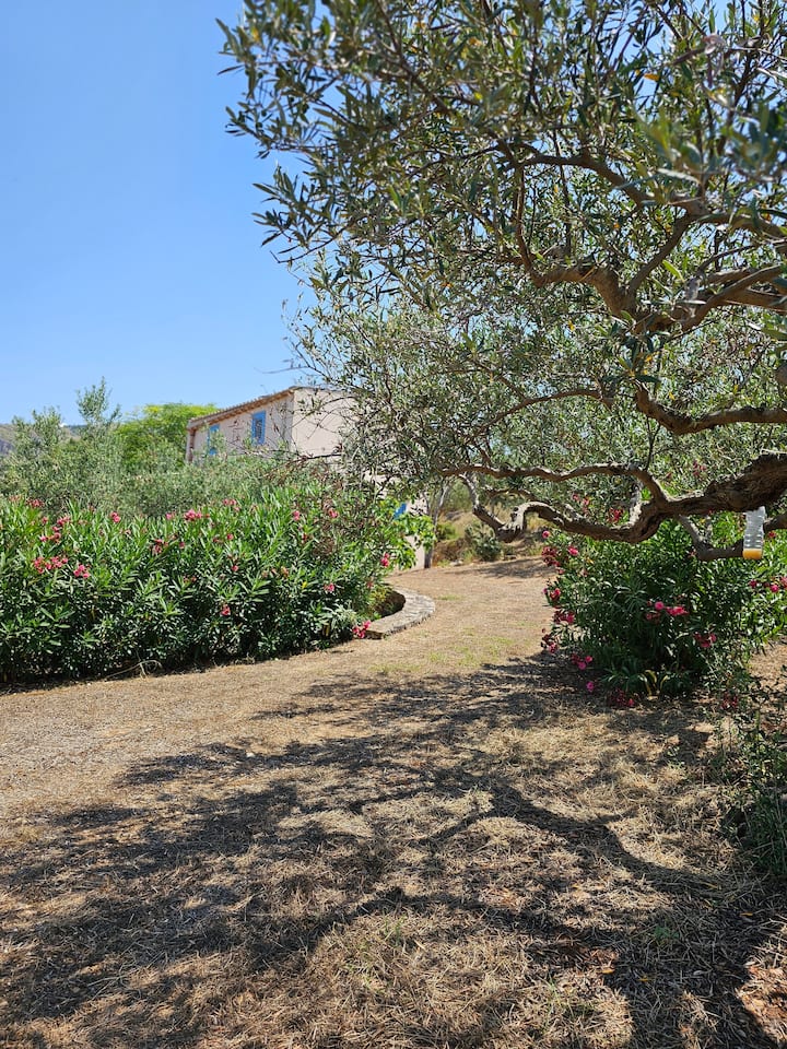 Casa Ofelia A Scopello - Scopello, TP