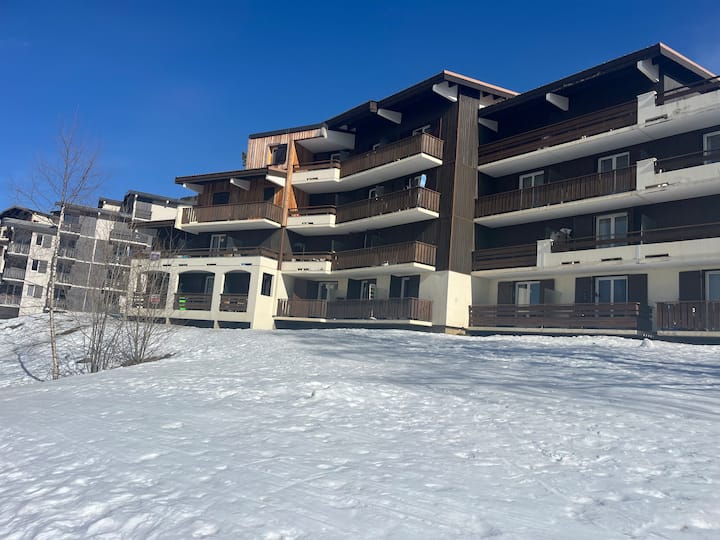 Appartement 6 Couchages, Skis Aux Pieds 1800, Wifi - Les Deux Alpes
