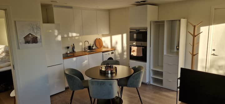 Modern 2 Room Apartment With Terrace In Bygdøy - Oslo