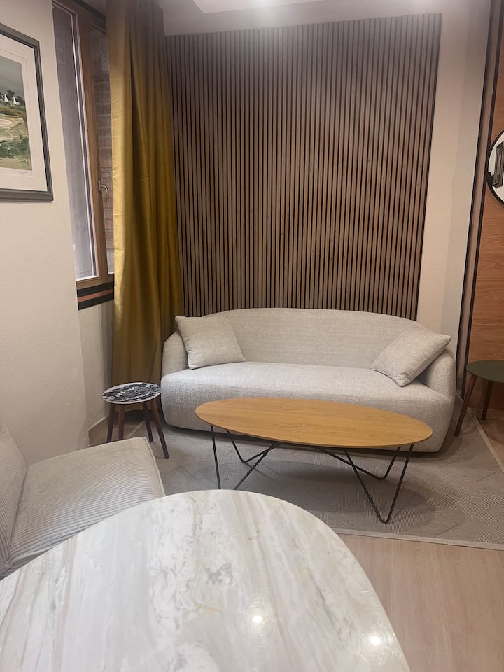 36 Hdv Appartement Duplex - Albi