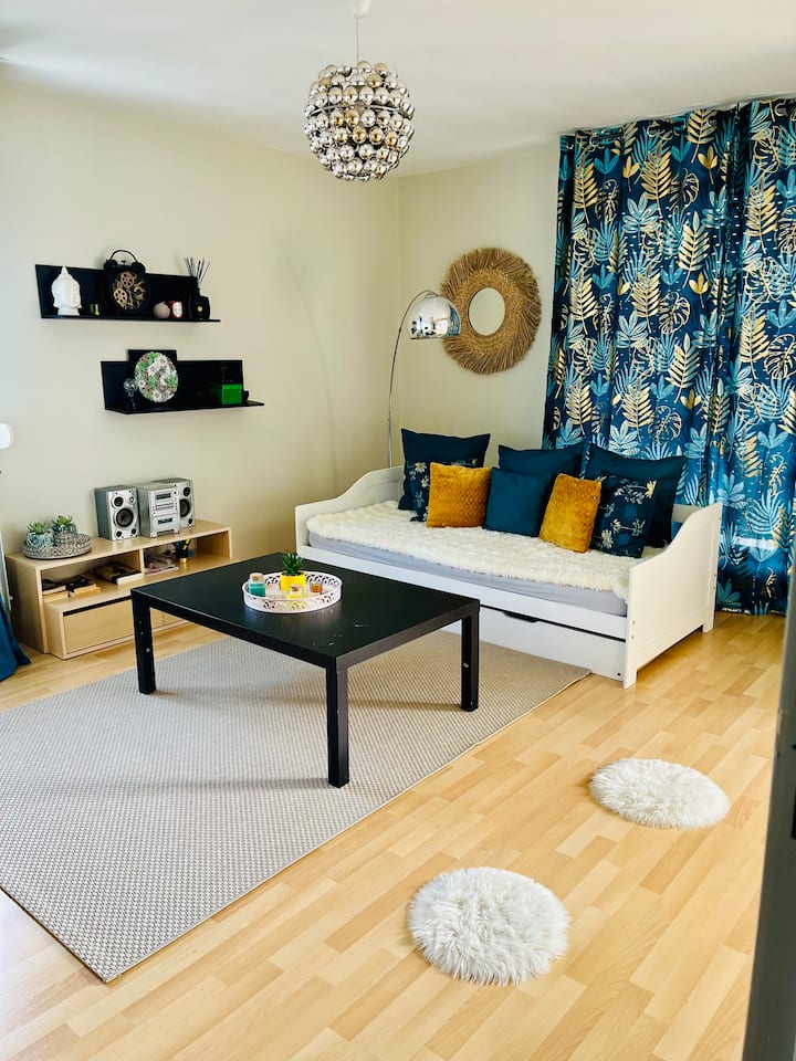 Appartement Agréable Spacieux - Clermont-Ferrand